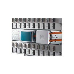 Rittal Montagepanel 2HE DK 7151.300 (7151300)