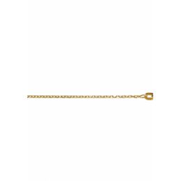 Goldkette ONE ELEMENT "Halskette Rundankerkette aus 333 Gelbgold &Oslash; 1,3 mm" Gr. 38, gold, Halsketten, Damen, 38, Gelbgold 333, Goldkette