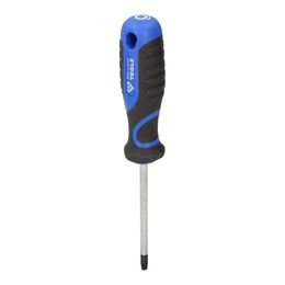 Brilliant Tools Schraubendreher TX, T30 (BT034910)