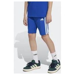 Shorts Adidas SPORTSWEAR "J 3S KN SH 210", Jungen, Gr. 128, N-Gr, blau (royal blau, wei&szlig;), Obermaterial: 100% Baumwolle, Hosen Shorts, sportlicher Stil, f&uuml;r Kinder, aus Baumwolle, atmungsaktiv