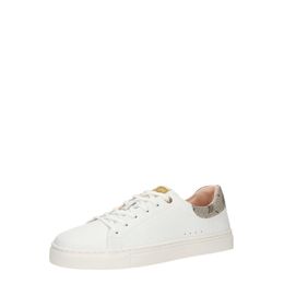 JOOP! Sneaker 'Mazzolino Fine Coralie' Damen Gr&ouml;&szlig;e 42 beige / hellbeige / dunkelbeige / gold