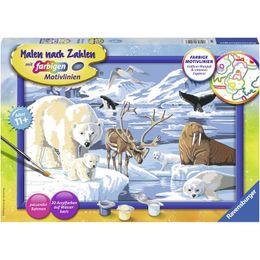 Ravensburger Malen nach Zahlen &raquo;Tiere der Arktis&laquo; Made in Europe bunt Pappe