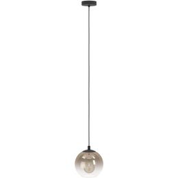 Eglo H&auml;ngeleuchte &raquo;ARISCANI 1 Pendellampe - Stahl - E27 - 1X60W - IP20&laquo; E27 1 Stk. H&auml;ngelampe, Deckenlampe, Wohnzimmer, Esszimmer, H110 x &Oslash;20 cm