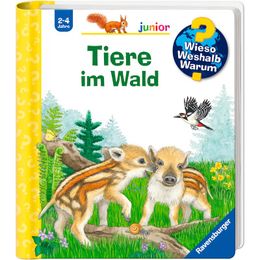 Ravensburger Kinderbuch &raquo;Wieso? Weshalb? Warum? junior, Band 77 Tiere im Wald&laquo; Made in Europe bunt Kindgerechte Wissenstexte und liebevolle Illustrationen