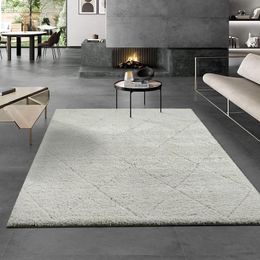 the carpet Teppich &raquo;Bahar Shaggy&laquo; rechteckig 30 mm H&ouml;he beige Polypropylen