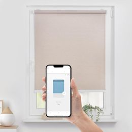 LICHTBLICK ORIGINAL Rollo &raquo;Klemmfix, ohne Bohren&laquo; blickdicht Blendschutz Sichtschutz mit Bohren/ohne Bohren freih&auml;ngend Steuerbar mit Bluetooth-App, 