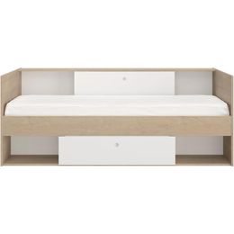 Stauraumbett Funktionsbett mit viel Stauraum beige