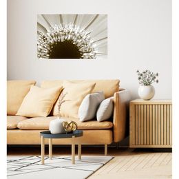 queence Wandsticker &raquo;Sonnenblume&laquo; Selbstklebend, kinderleichte Anbringung beige Folie