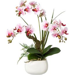 Creativ green Kunstorchidee &raquo;Deko-Orchidee Phalaenopsis im Keramiktopf&laquo; lila Obermaterial: 95% Polyethylen, 5% Polyester