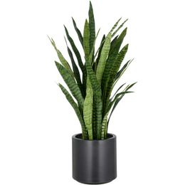 Creativ green Kunstpflanze &raquo;Sansevieria zeylanica&laquo; im eleganten Topf gr&uuml;n Kunststoff