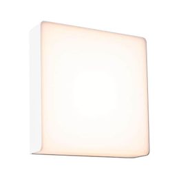 Paulmann LED Au&szlig;en-Wandleuchte &raquo;Azalena IP44 250x97mm 3000K 8,5W 700lm 230V Kunststoff, Aluminium&laquo; 1 Stk. Warmwei&szlig; Bewegungsmelder mit Hochfrequenz-Sensor IP44