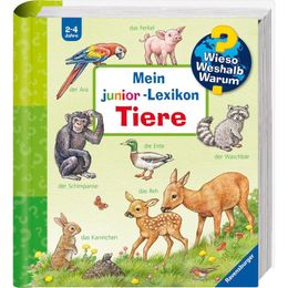 Ravensburger Lexikon &raquo;Wieso? Weshalb? Warum?, Mein junior-Lexikon Tiere&laquo; Made in Europe bunt Spielerische Wissensvermittlung