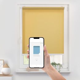 LICHTBLICK ORIGINAL Rollo &raquo;Klemmfix, ohne Bohren&laquo; blickdicht Blendschutz Sichtschutz mit Bohren/ohne Bohren freih&auml;ngend Steuerbar mit Bluetooth-App, 