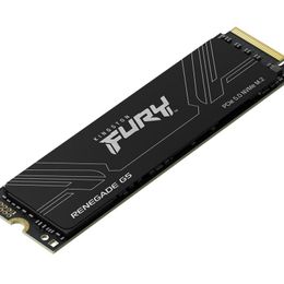 Kingston interne SSD &raquo;4T FURY RENEGADE G5 M.2 2280 NVMe SSD&laquo;