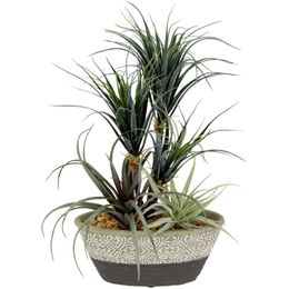 I.GE.A. Kunstpflanze &raquo;Dracena/Tillandsia&laquo; Im &Uuml;bertopf aus Keramik gr&uuml;n