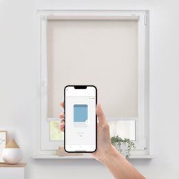 LICHTBLICK ORIGINAL Rollo &raquo;Klemmfix, ohne Bohren&laquo; blickdicht Blendschutz Sichtschutz mit Bohren/ohne Bohren freih&auml;ngend Steuerbar mit Bluetooth-App, 