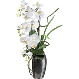 Creativ green Kunstorchidee &raquo;Orchidee Phalaenopsis&laquo; mit real-touch-Bl&uuml;ten wei&szlig; Kunststoff