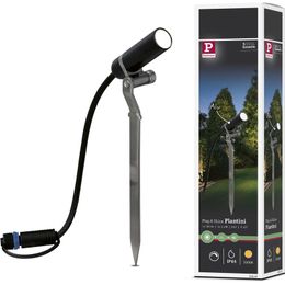 Paulmann LED Gartenstrahler &raquo;Plug & Shine&laquo; LED-Modul 1 Stk. Warmwei&szlig; LED-Modul, 3000K 24V Anthrazit grau