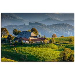 Artland &raquo;Bauernhof bei St.Peter Schwarzwald&laquo; Berge & Alpenbilder 1 Stk. tlg. auf Holzrahmen gespannt gr&uuml;n Leinwand