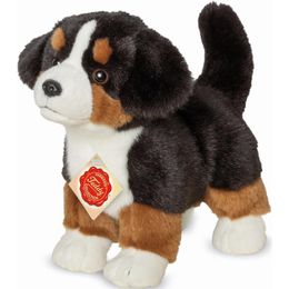 HERMANN TEDDY ORIGINAL Kuscheltier &raquo;Berner Sennenhund, 23 cm&laquo; zum Teil aus recyceltem Material bunt Kuscheltier