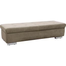 DOMO collection Hocker &raquo;Treviso XXL: B/T/H: 161/60/41 cm&laquo; mit Stauraum, auch in Cord, passend zur Serie, moderne Steppung braun 100% Polyester