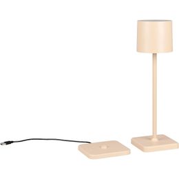 REALITY LEUCHTEN &raquo;Fernandez&laquo; LED-Board 1 Stk. Farbwechsler warmwei&szlig; - kaltwei&szlig; Garten Akku Tischlampe USB Ladestation dimmbar Lichtfarbe einstellbar 