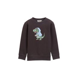 Tom Tailor Kinder Tom Tailor Sweater, mit Dino-Print grau 104/110