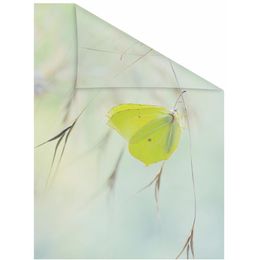 LICHTBLICK ORIGINAL Fensterfolie &raquo;Schmetterling Gr&uuml;n&laquo; 1 Stk. blickdicht strukturiert Klebepunkte selbstklebend, Sichtschutz gr&uuml;n PVC