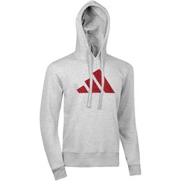 adidas Performance Hoodie &raquo;Perfo Script Graphic Hoody&laquo; grau Hoodie