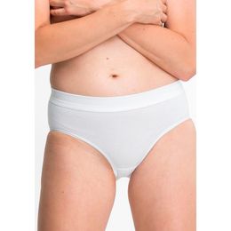 Speidel Damen Midislip &raquo;Bio Cotton plus&laquo; 3er Pack, basic, bequem, weich, elastisch, Baumwollmix wei&szlig; 42