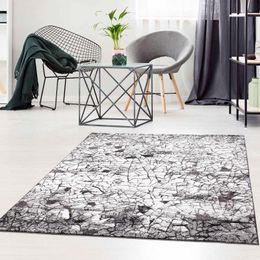 Carpet City Teppich &raquo;Moda 1130&laquo; rechteckig 11 mm H&ouml;he Kurzflor, Wohnzimmer grau Kunstfaser