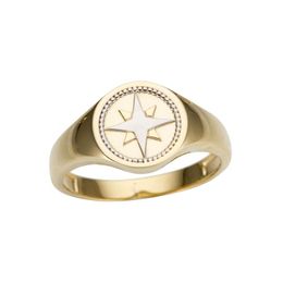 Firetti Damen Goldring &raquo;Schmuck Geschenk Gold 333 Siegelring Kompass, edel, tlw. rhodiniert&laquo; silber