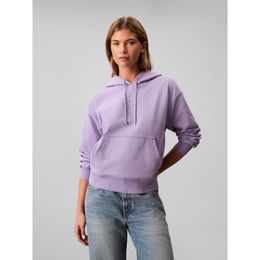 Calvin Klein Jeans Damen Sweatshirt, Kapuze mit Kordelzug, regular fit, Logodruck L (42)