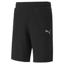 Puma teamGOAL 23 Casuals Shorts Puma black S