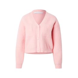 Rino & Pelle Rino & Pelle Knit Cardigan 'Isarea' female Pink size L