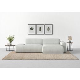 Trendmanufaktur "Braga, mit hochwertigem Kaltschaum, L-Form, in Cord erh&auml;ltlich" modernes Sofa, Couch mit hohem Sitzkomfort, 275/72/160 cm (B/H/T)