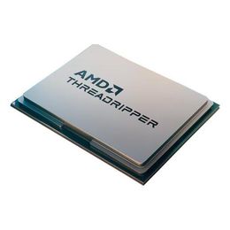 AMD Ryzen Threadripper 7960X 4,2 GHz Prozessor