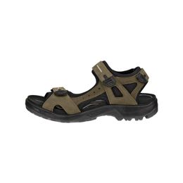 Ecco OFFROAD Gr. 46
