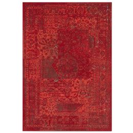 NYVI Teppich Celebration - F&uuml;r Fu&szlig;bodenheizung geeignet, Strapazierf&auml;hig, Leicht zu reinigen Farbe:Rot;Gr&ouml;&szlig;e:120x170 cm