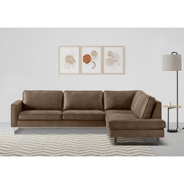 Ecksofa Home Affaire, B:290cm H:85cm T:217cm, braun, Luxus-Microfaser in Lederoptik (100% Polyester);Cord (92% Polyester, 8% Polyamide), Wohnzimmer,