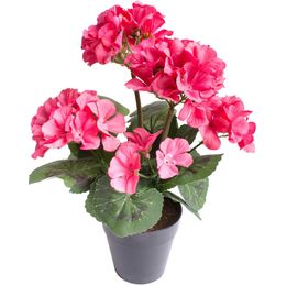 Kunstblume BOTANIC-HAUS, B:22cm H:30cm T:22cm &Oslash;:22cm, pink, Kunststoff, Kunstpflanzen, "Geranienbusch mit 6 Bl&uuml;tenk&ouml;pfen"