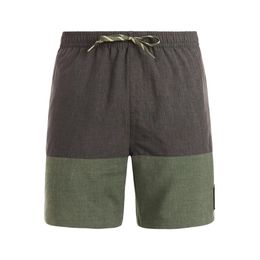 Protest Board Shorts 'PRTCabus' male Green size S