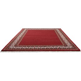 Orientteppich Theko, B:140cm H:12mm L:200cm, rot, Schurwolle, Teppiche, "Chandi Mir, handgekn&uuml;pft", reine Wolle, mit Fransen, Wohnzimmer