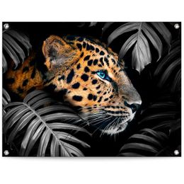 Reinders Poster &raquo;Leopard&laquo; bunt Leinwand