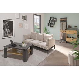 FMD Couchtisch &raquo;Bastia&laquo; Breite 100 cm braun B/H/T: 100cm x 45,8cm x 60cm