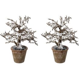 Creativ green K&uuml;nstlicher Weihnachtsbaum &raquo;Weihnachtsdeko&laquo; im Keramiktopf in Terracottaoptik braun Kunststoff H: 24cm bis