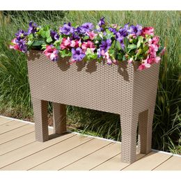 Prosperplast Pflanzk&uuml;bel &raquo;Rato Case High&laquo; BxTxH: 80x33x65 cm beige Kunststoff B/H/T: 80cm x 65cm x 33cm