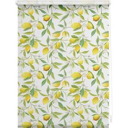 LICHTBLICK ORIGINAL Seitenzugrollo &raquo;Rollo Klemmfix, ohne Bohren, Verdunkelung, Limone - Gelb Gr&uuml;n&laquo; verdunkelnd Verdunkelung energiesparend freih&auml;ngend