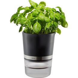 Gefu Kr&auml;utertopf &raquo;Botanico&laquo; mit Bew&auml;sserungssystem schwarz Edelstahl, Kunststoff &Oslash; 14,3cm