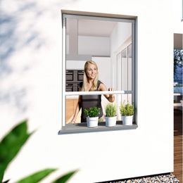 Windhager Insektenschutzrollo &raquo;PLUS&laquo; transparent BxH: 160x160 cm schwarz Einheitsgr&ouml;&szlig;e